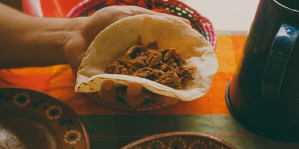 Gastronomía de Tamaulipas: descubre sus sabores únicos